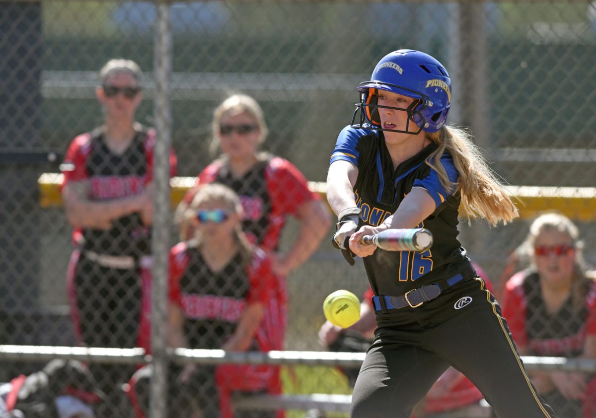 West Greene, Chartiers-Houston highlight all-state softball selections ...